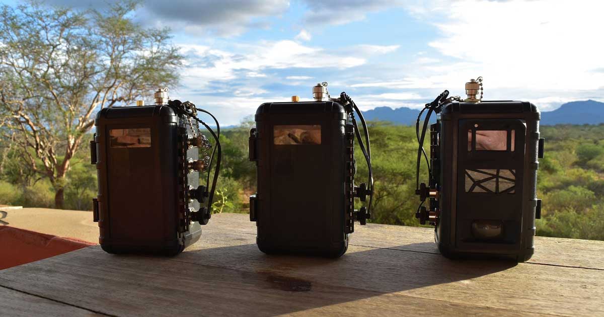 How the Internet of Things Protects Wild Animals from Poachers