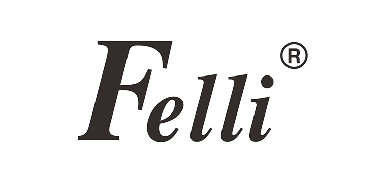 Felli Group Reduces Carbon Emissions and Moves Towards Smart ...