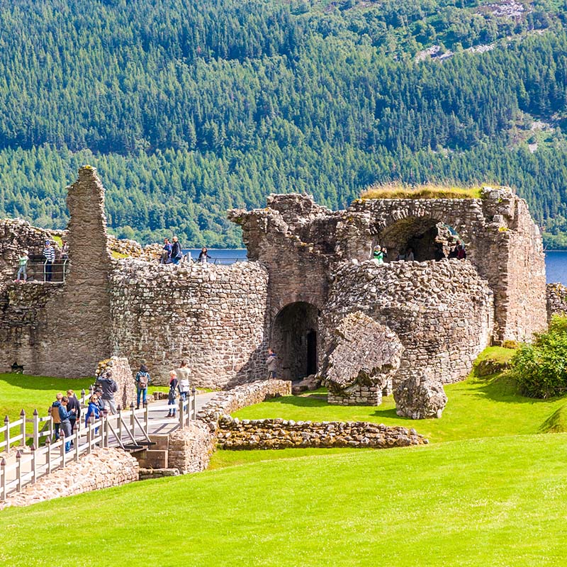 cloud forest scotland